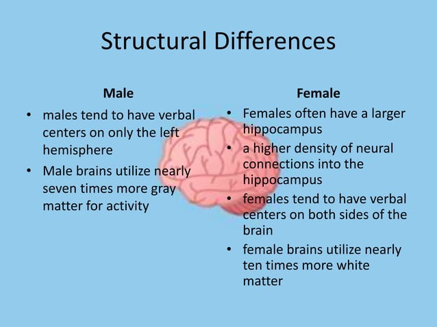 Male female brain | PPTX