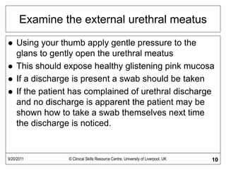 Male Genital Exam | PDF
