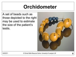 Male Genital Exam | PDF