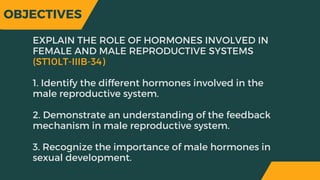 Grade 10 Science MALE-REPRODUCTIVE system | PPTX