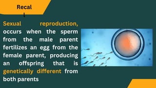 Grade 10 Science MALE-REPRODUCTIVE system | PPTX