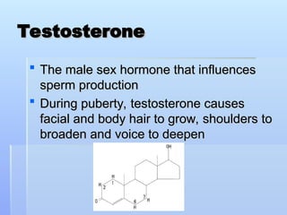 Grade 10 Science Male-Reproductive-System.ppt
