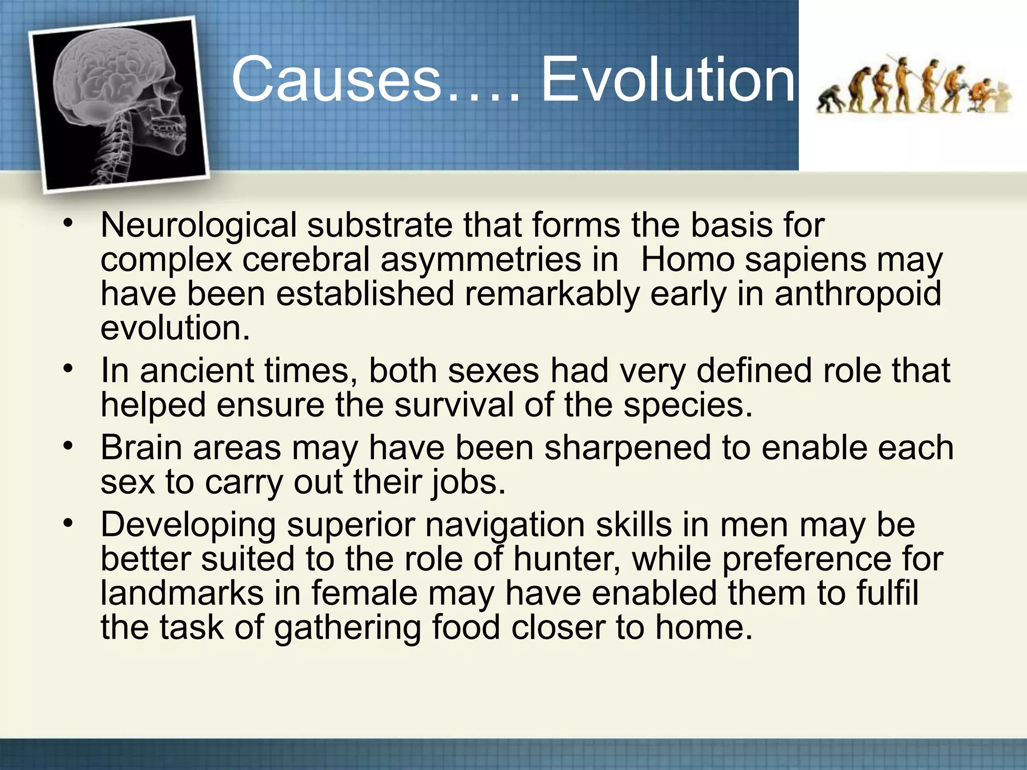 maleandfemalebrain-whatconstitutesthegender-130731085427-phpapp02 (1).pptx