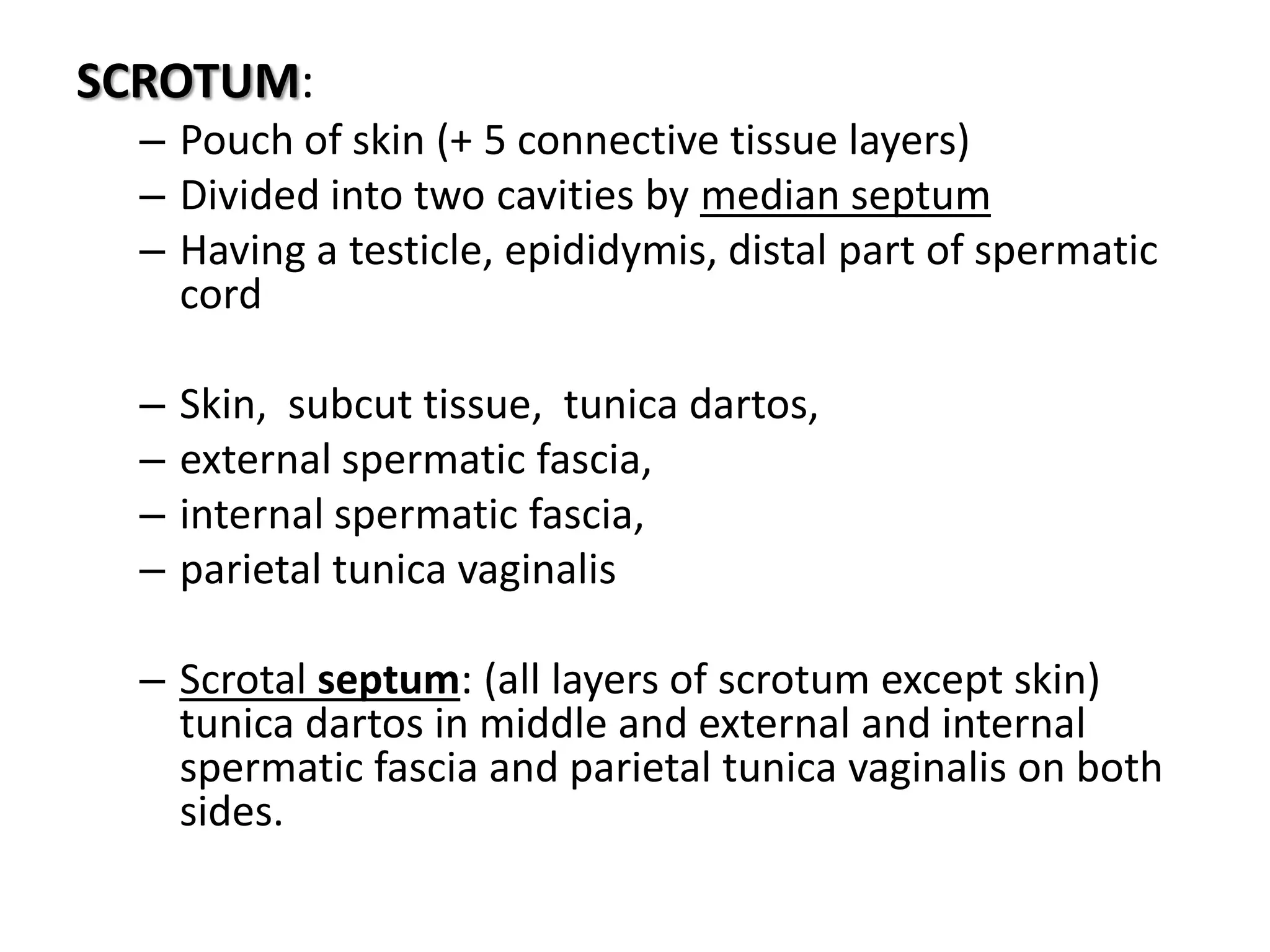 Veterinary Anatomy of Male and female genital system lectures together ...