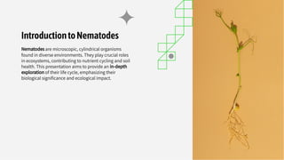 Microbiology male and female nematods.pdf