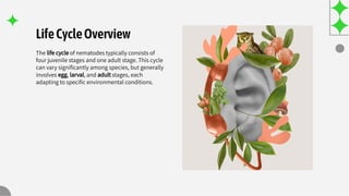 Microbiology male and female nematods.pdf