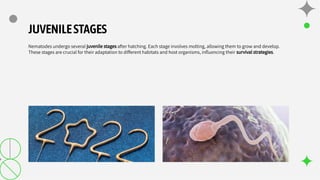 Microbiology male and female nematods.pdf