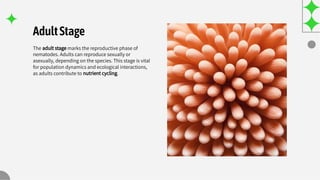 Microbiology male and female nematods.pdf
