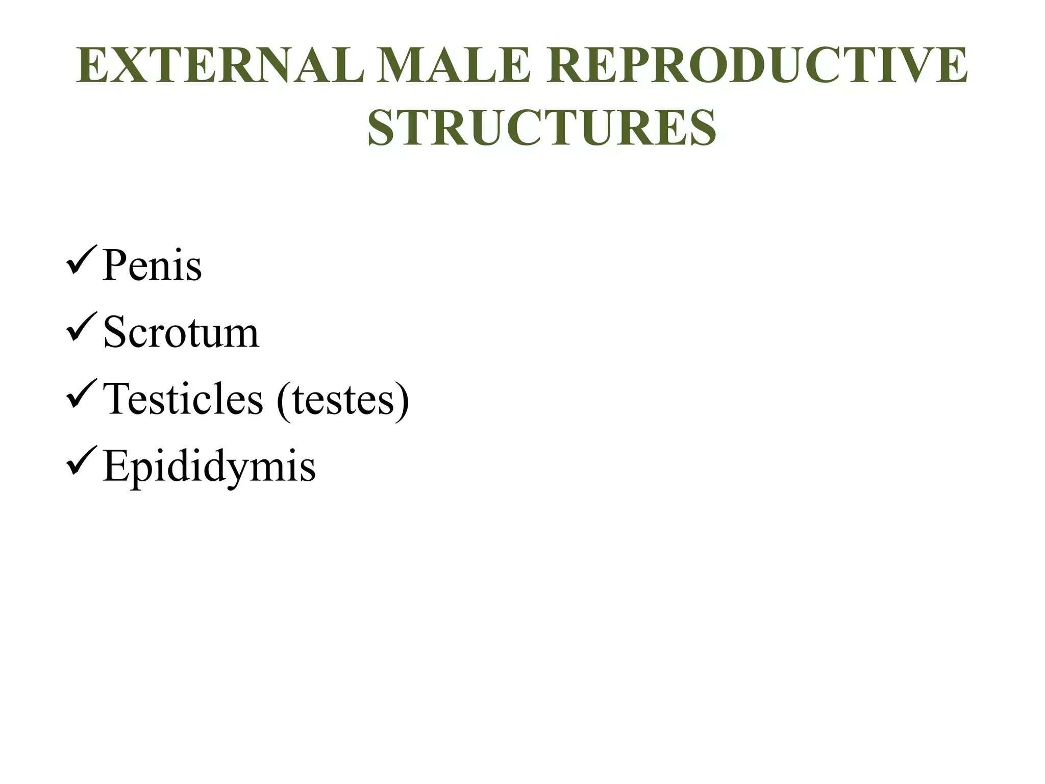 MALE AND FEMALE REPRODUCTIVE SYSTEM.pptx