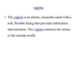 MALE AND FEMALE REPRODUCTIVE SYSTEM.pptx