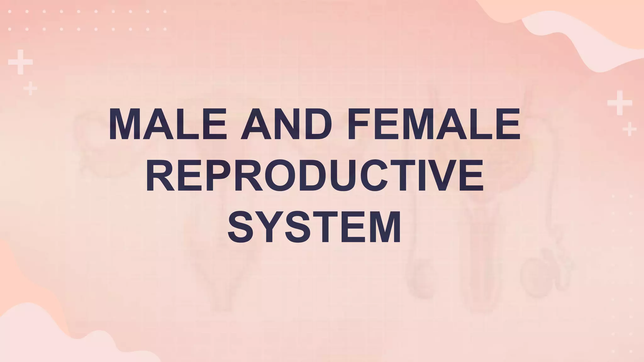 MALE AND FEMALE REPRODUCTIVE SYSTEM.pptx