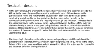 Male and female reproductive system (2).pptx