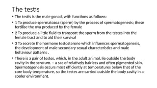 Male and female reproductive system (2).pptx