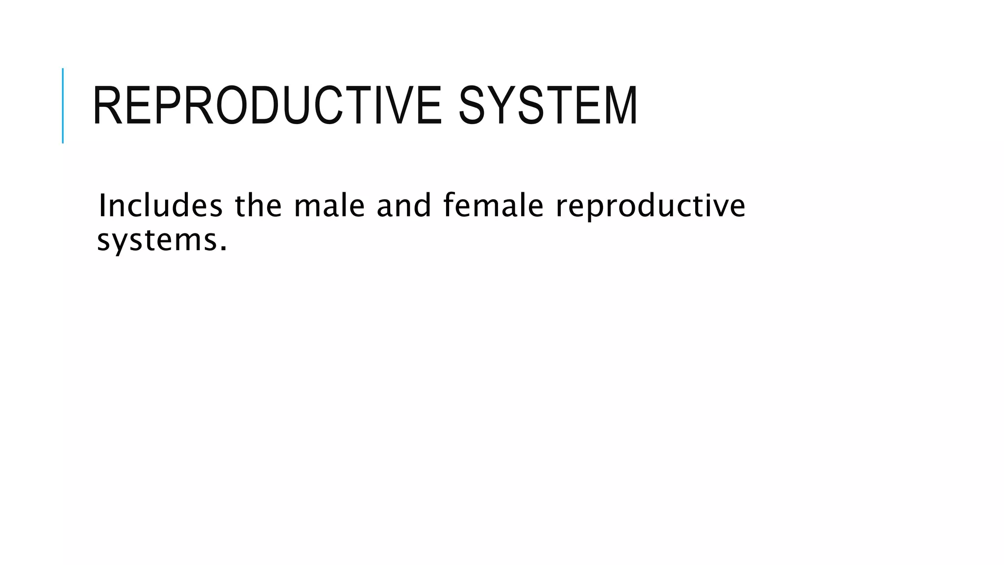 Male and female reproductive systems | PPT