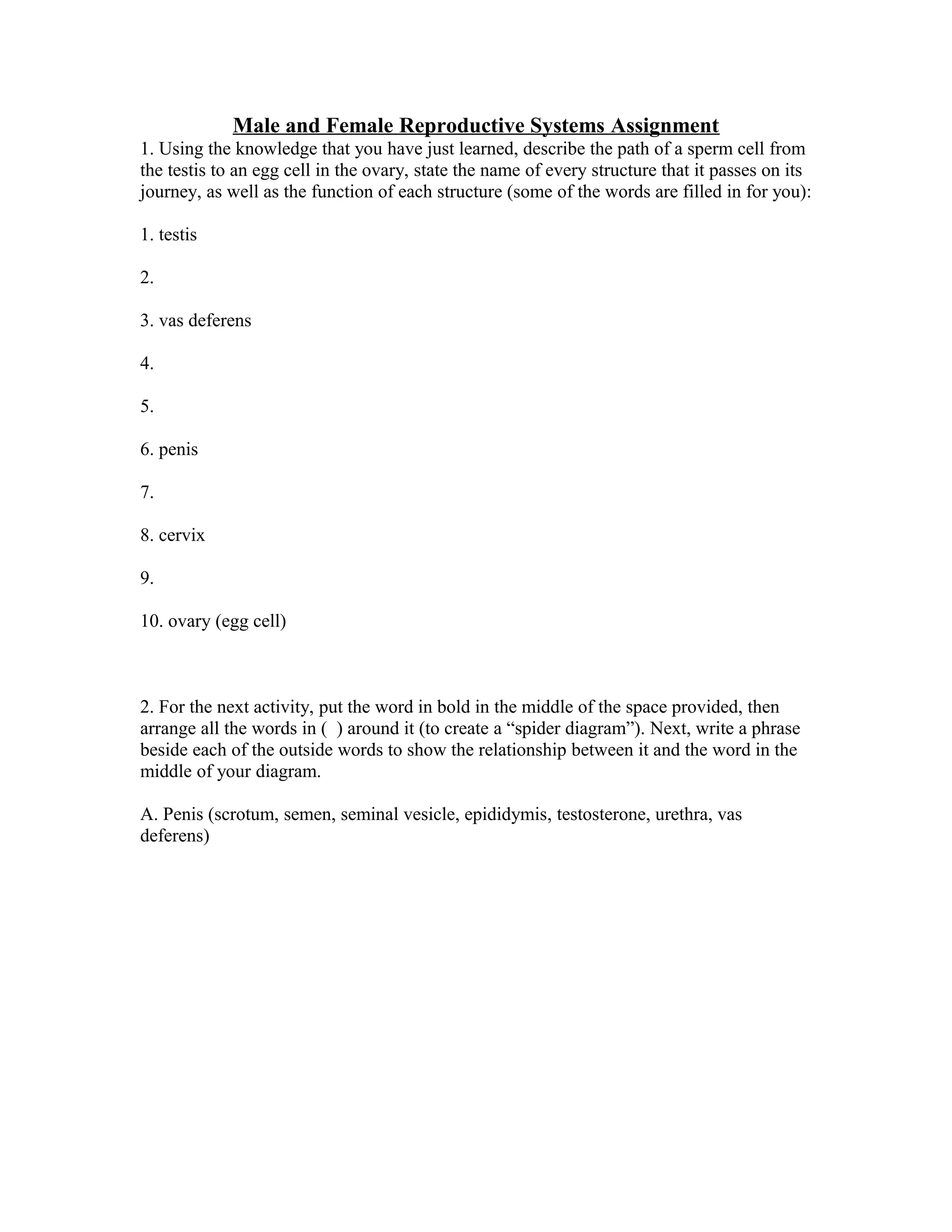 Male and female reproductive systems assignment | DOC