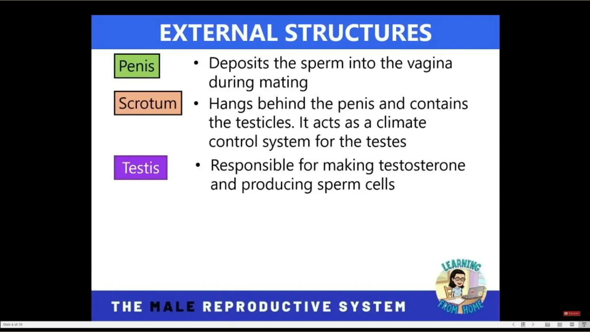 MALE AND FEMALE REPRODUCTIVE SYSTEM Science 10.pptx
