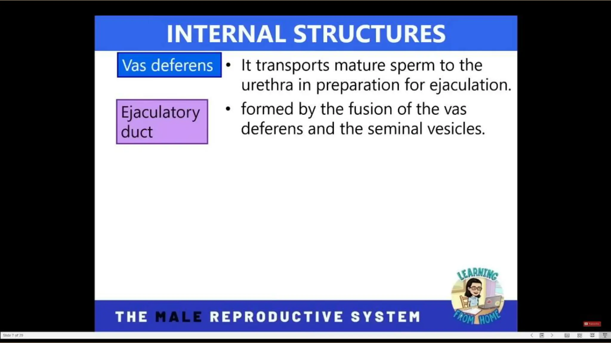 MALE AND FEMALE REPRODUCTIVE SYSTEM Science 10.pptx