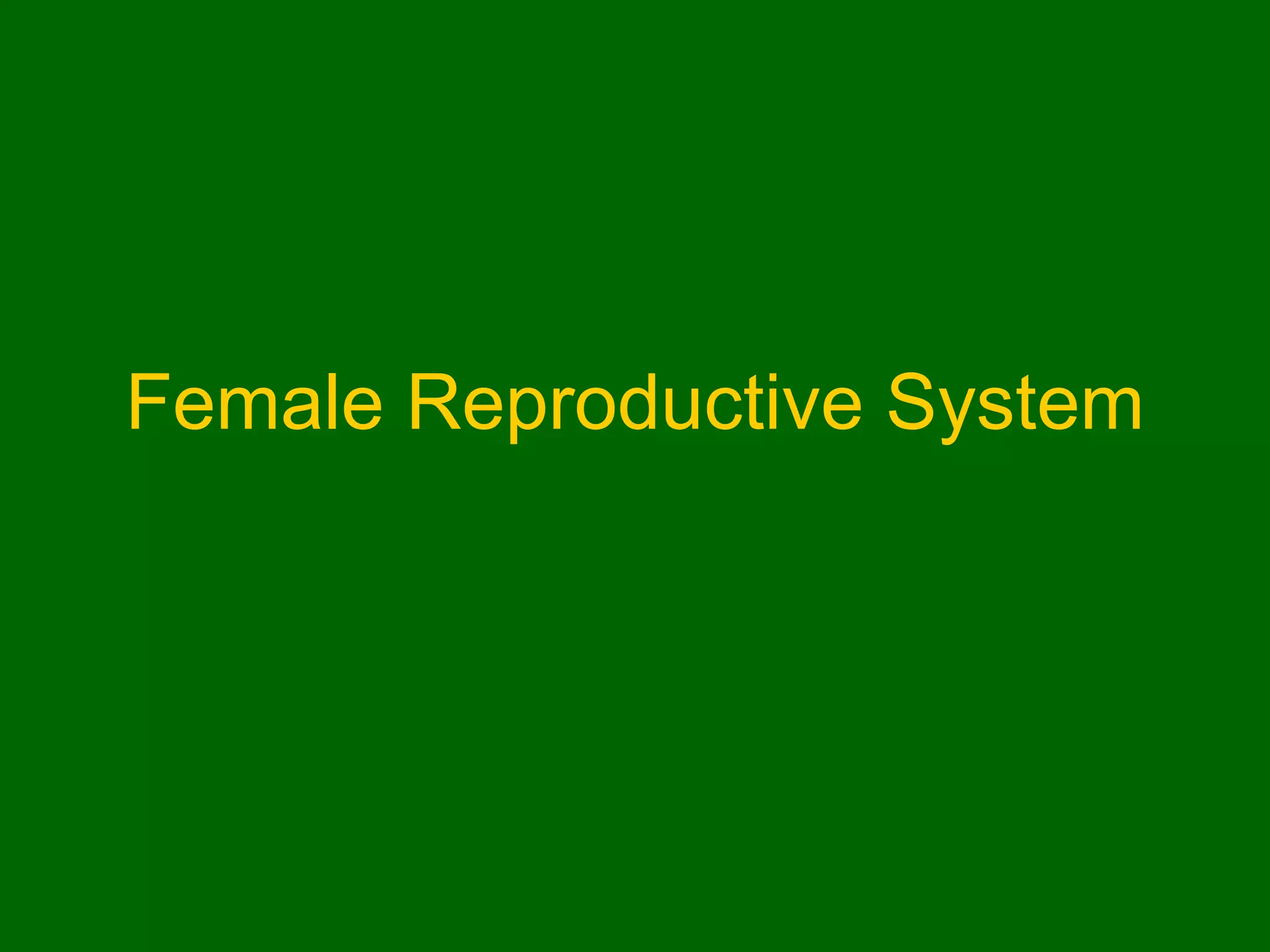 Male and female rep system | PPT