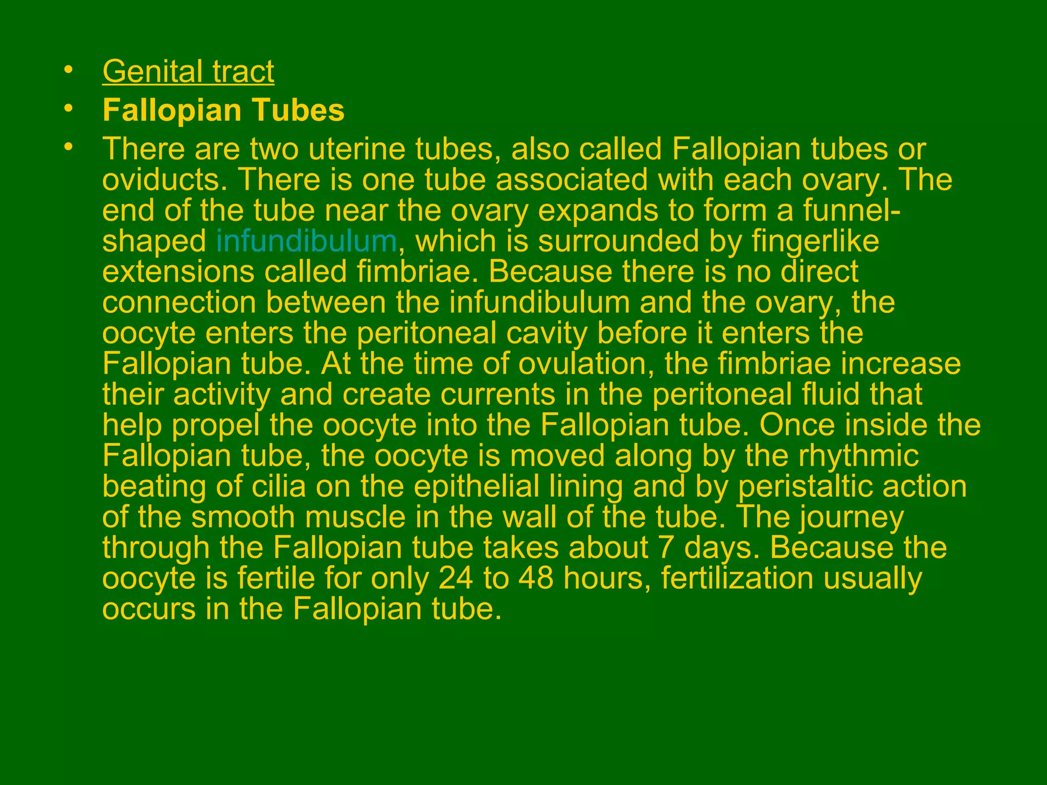 Male and female rep system | PPT