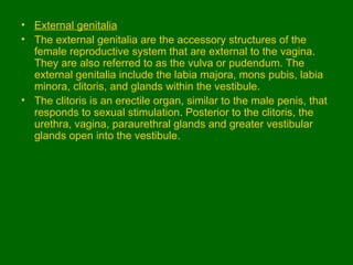 Male and female rep system | PPT