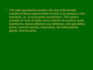 Male and female rep system | PPT