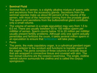 Male and female rep system | PPT