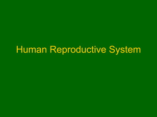 Male and female rep system | PPT