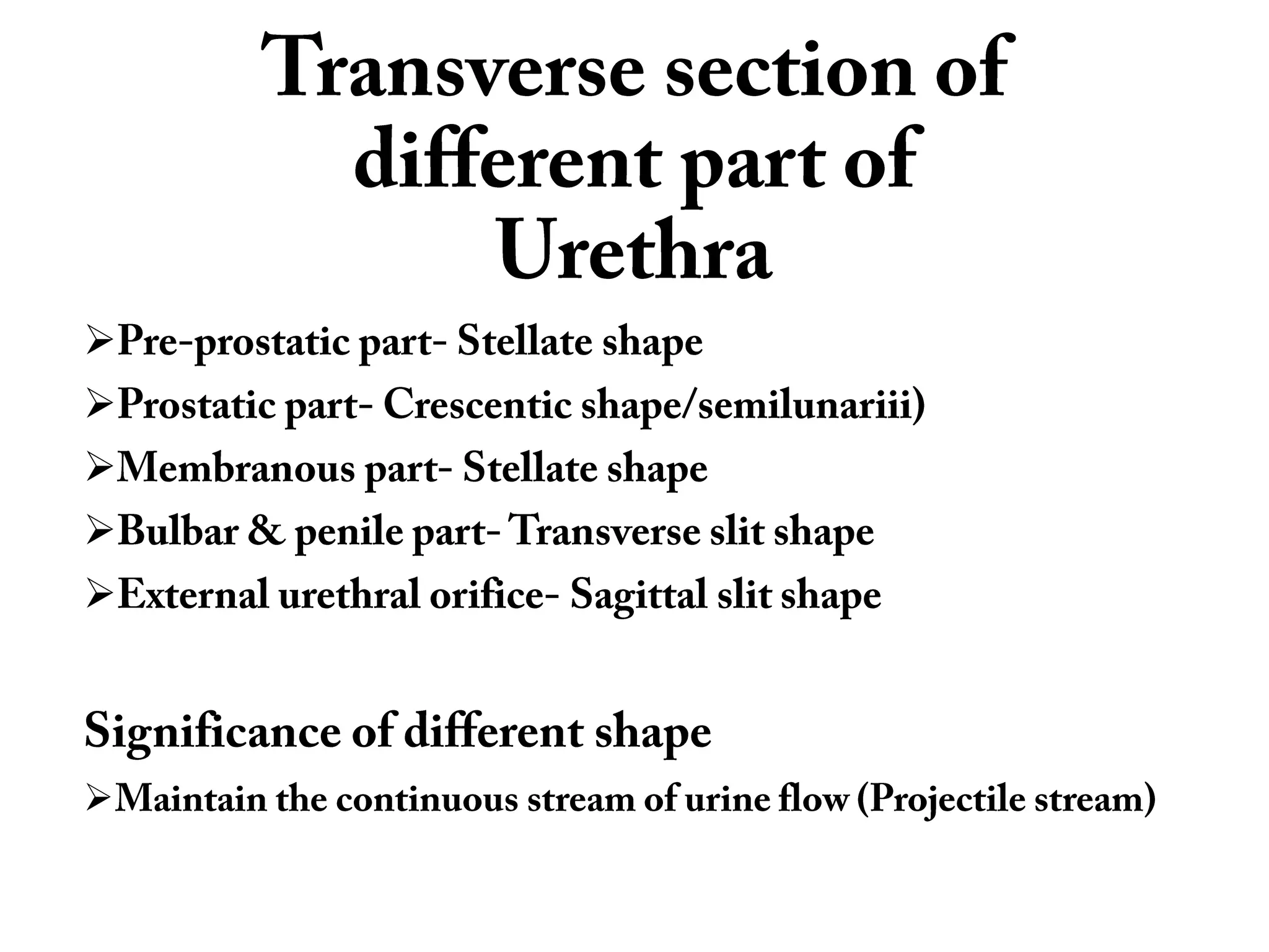 Male and female urethra | PDF