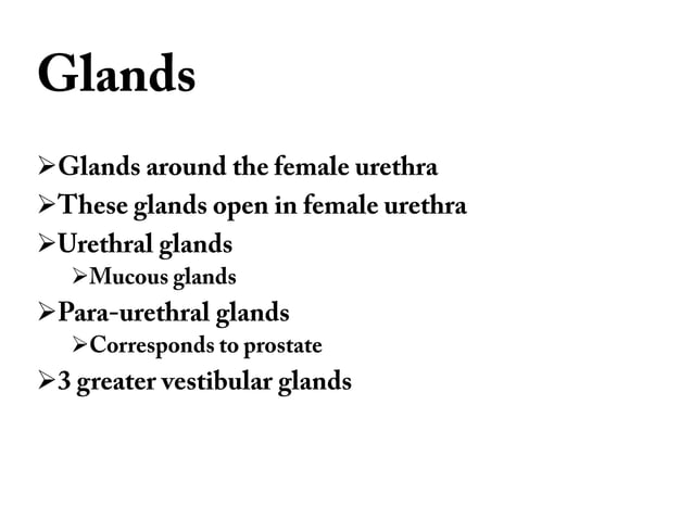 Male and female urethra | PDF