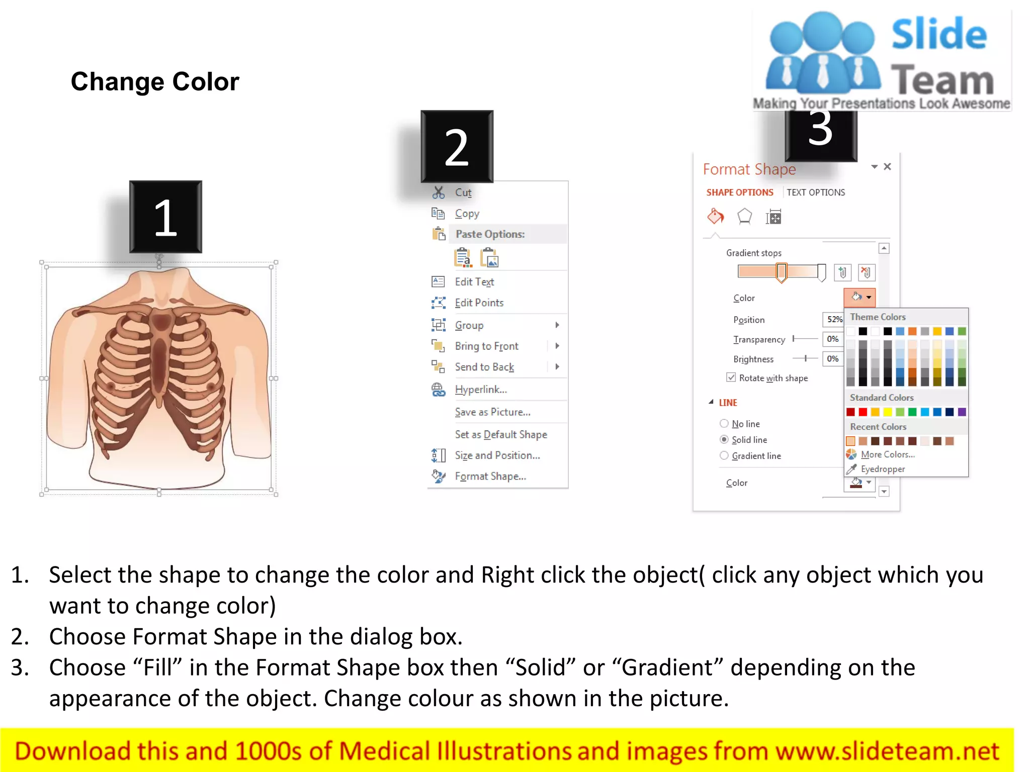 Male chest wall – anterior view medical images for power point | PDF