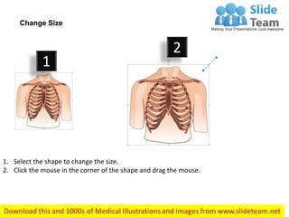 Male chest wall – anterior view medical images for power point | PDF