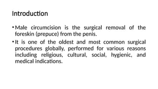 Male Circumcision perioperative nurse roles | PPTX