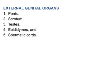 Male external genitalia | PPTX