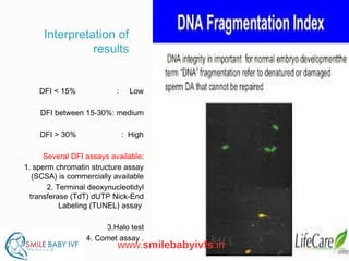 Male factors in rpl | ODP