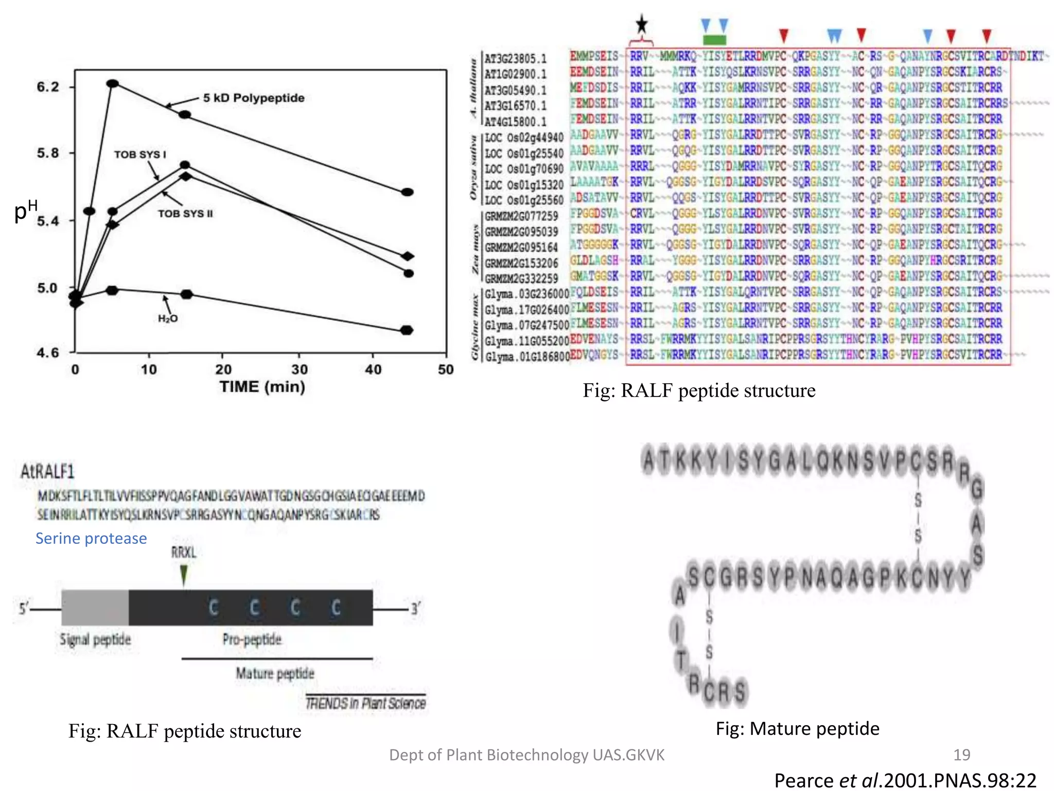 Male female plant communication by ralf mediated signaling final 11 | PPTX