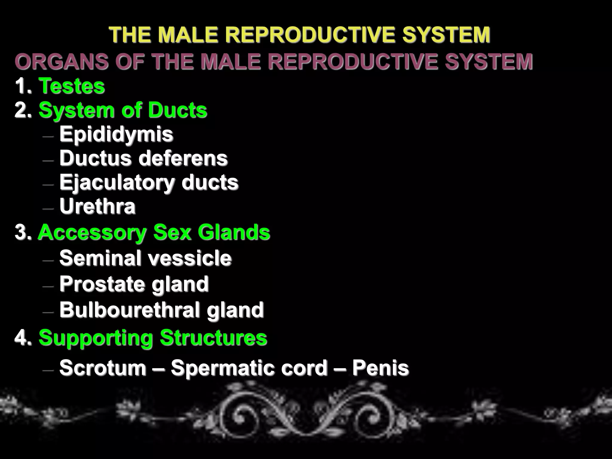MALE&FEMALE REPROD.SYSTEMS.ppt