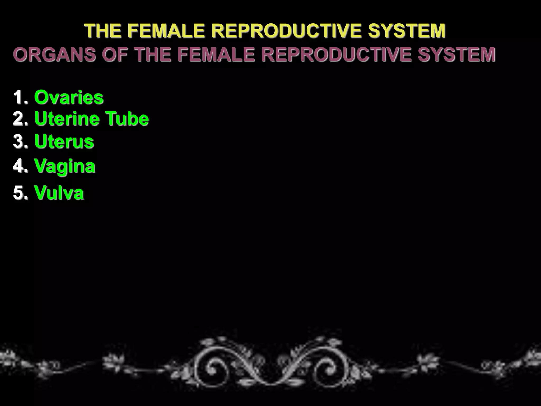 MALE&FEMALE REPROD.SYSTEMS.ppt