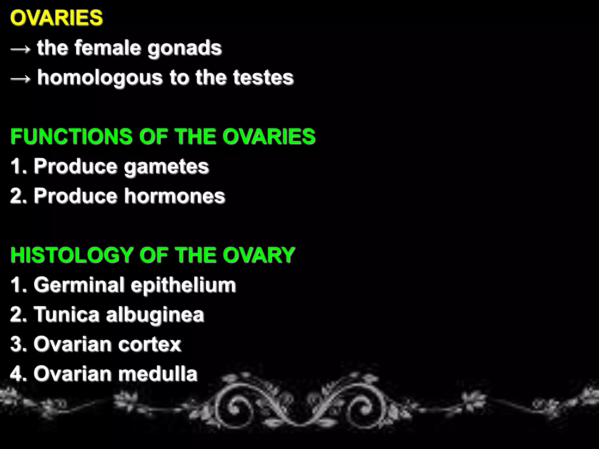 MALE&FEMALE REPROD.SYSTEMS.ppt