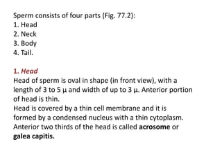 Male & female reproductive system | PPTX