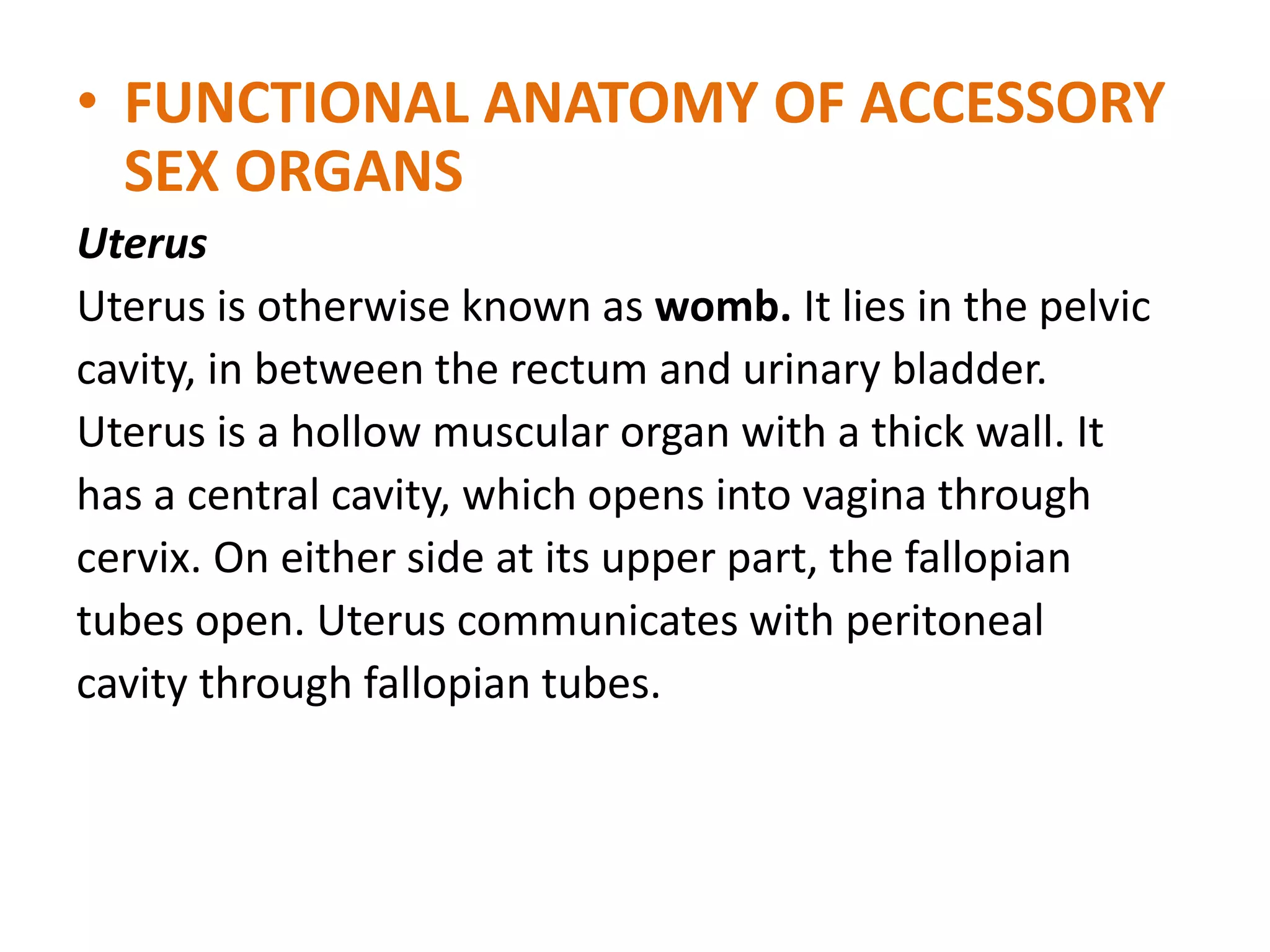 Male & female reproductive system | PPTX
