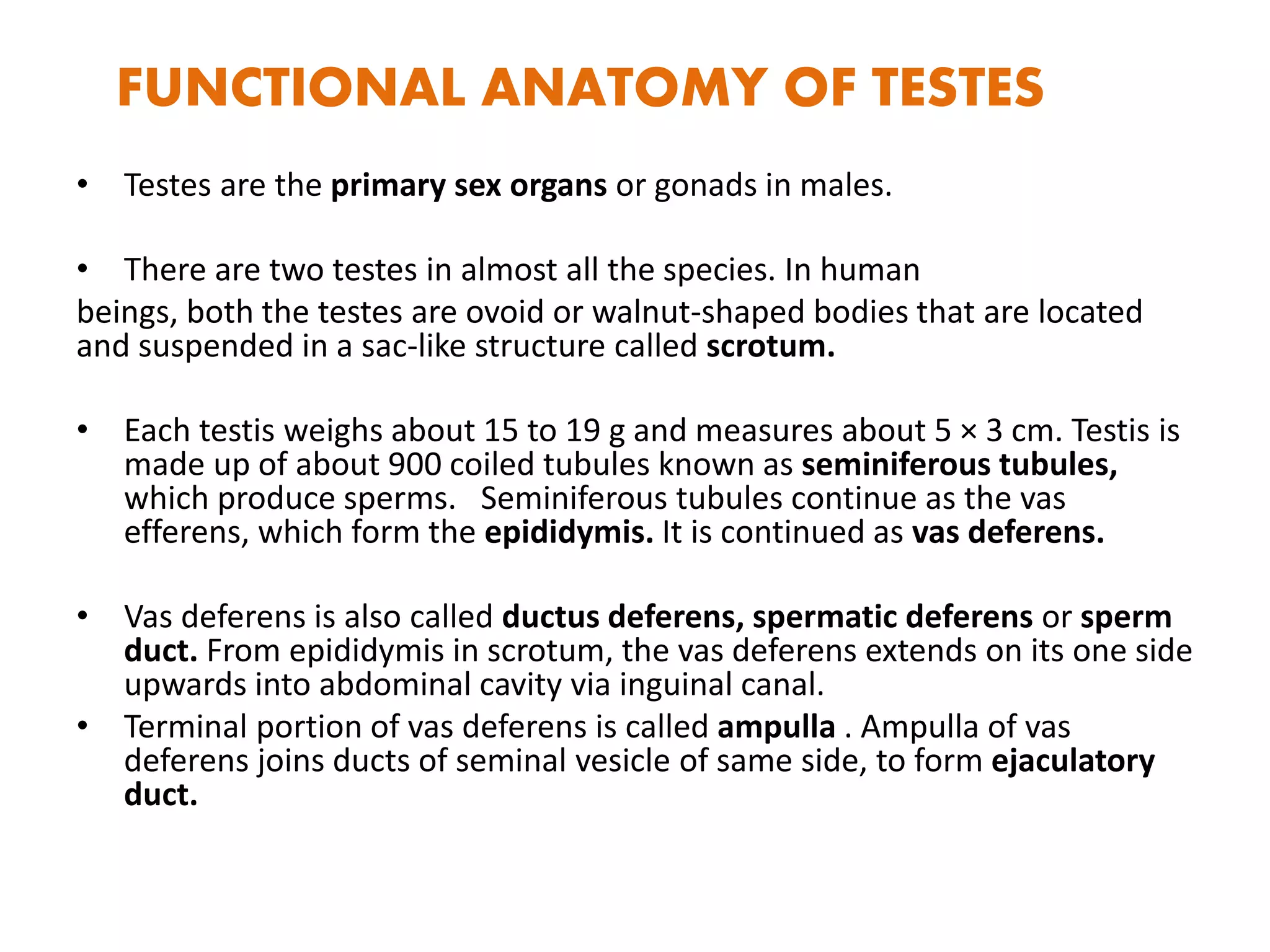 Male & female reproductive system | PPTX