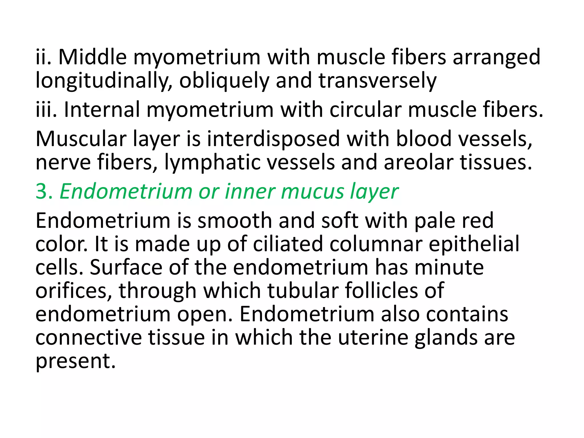 Male & female reproductive system | PPTX