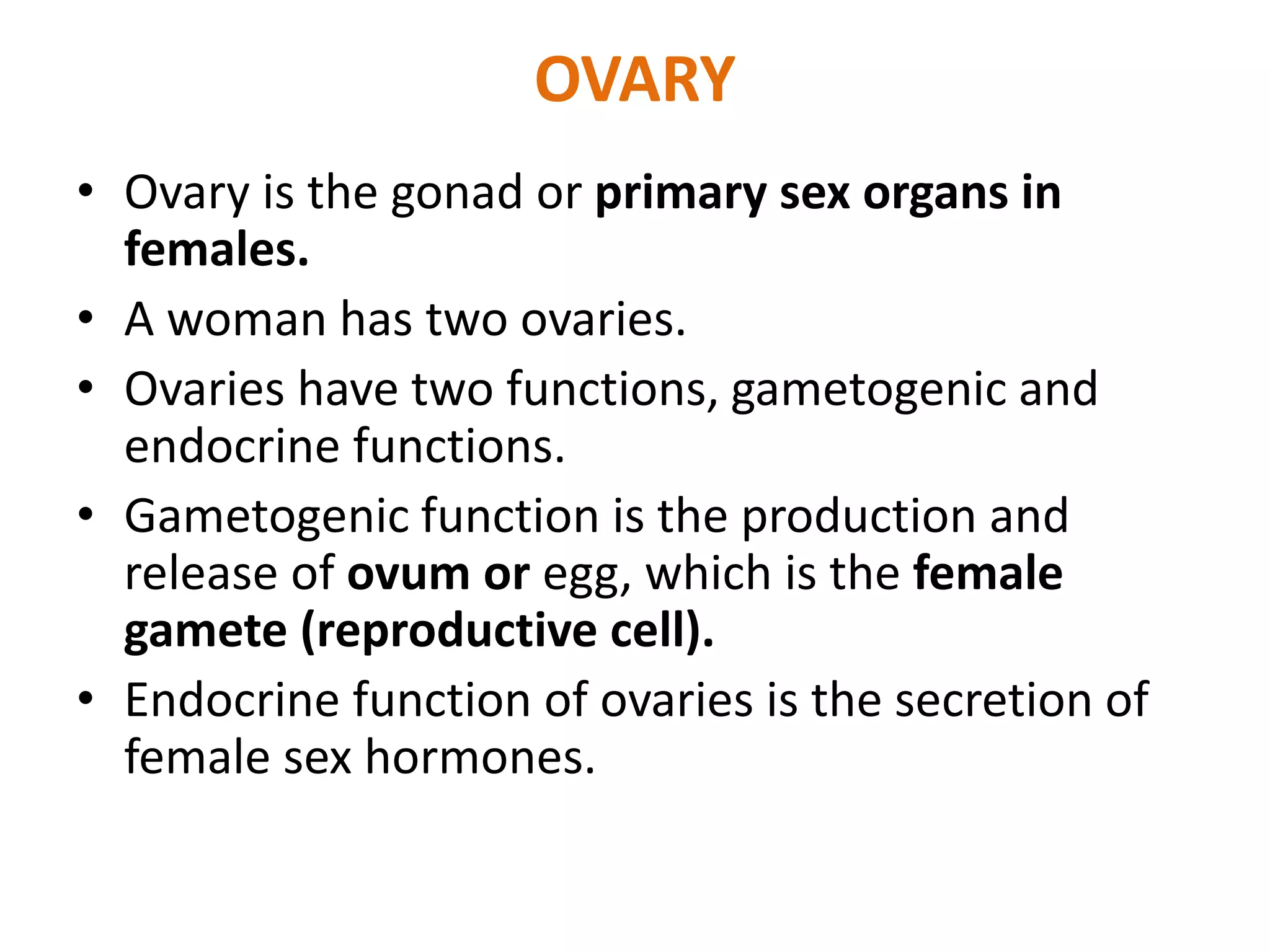 Male & female reproductive system | PPTX