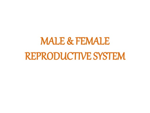 Male & female reproductive system | PPTX