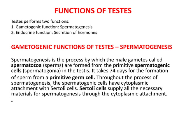Male & female reproductive system | PPTX
