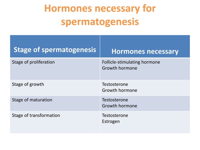 Male & female reproductive system | PPTX