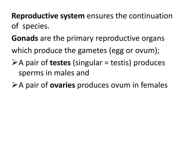 Male & female reproductive system | PPTX