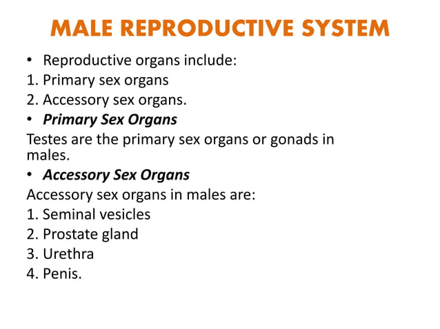 Male & female reproductive system | PPTX