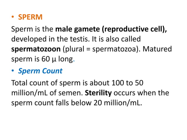 Male & female reproductive system | PPTX