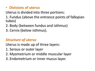 Male & female reproductive system | PPTX